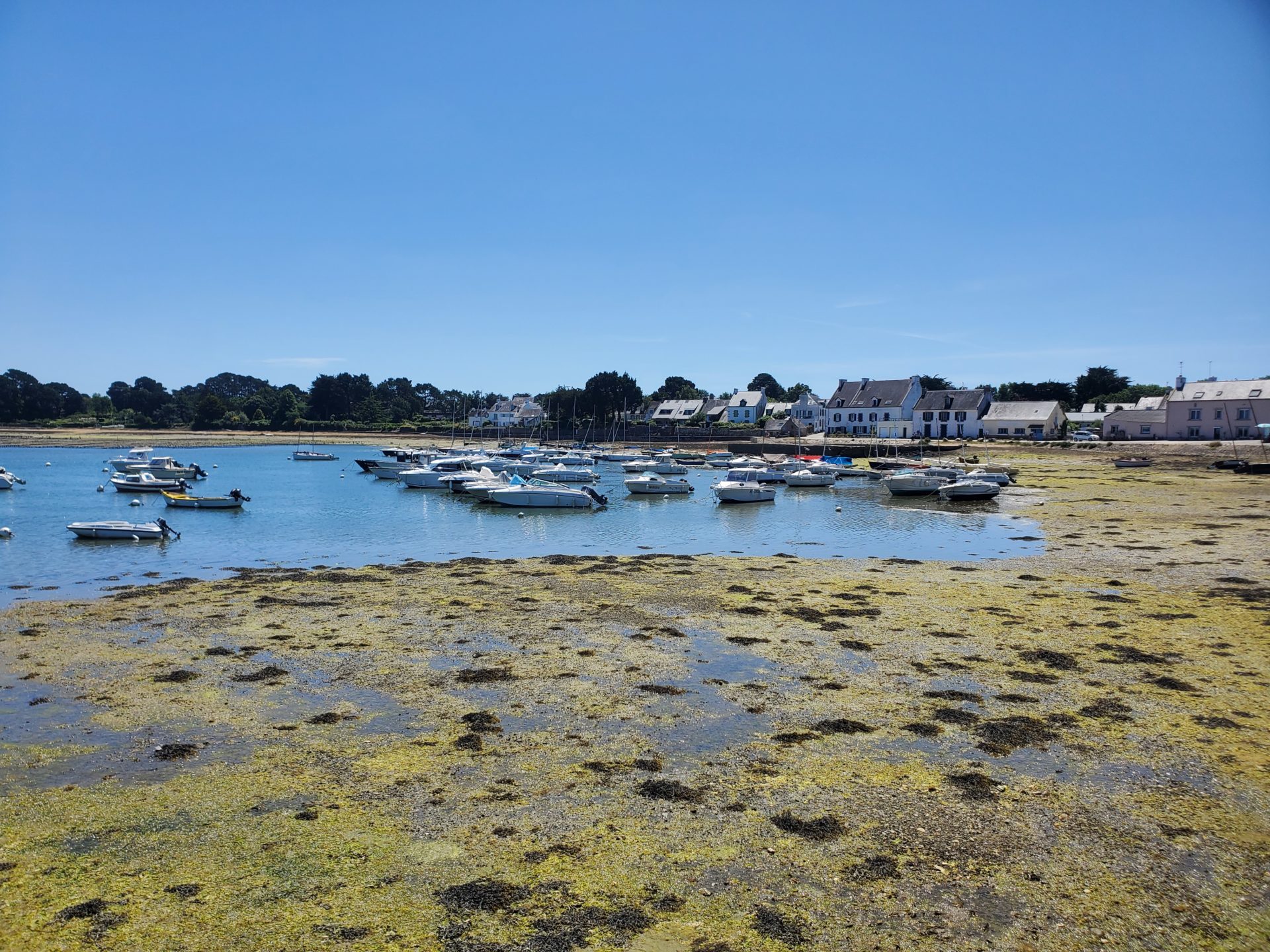 Le port du Logeo - Sarzeau - Boulevard des découvertes